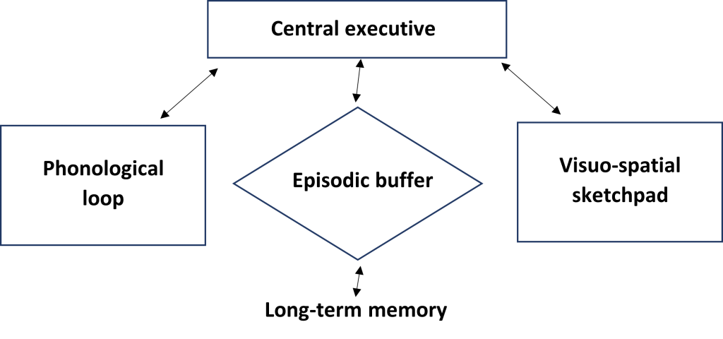 Memory Working Memory Model The Tutor Academy Memory Working Memory Model The Tutor Academy